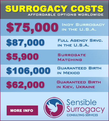 Surrogacy in the UK - An online guide to the benefits and obstacles