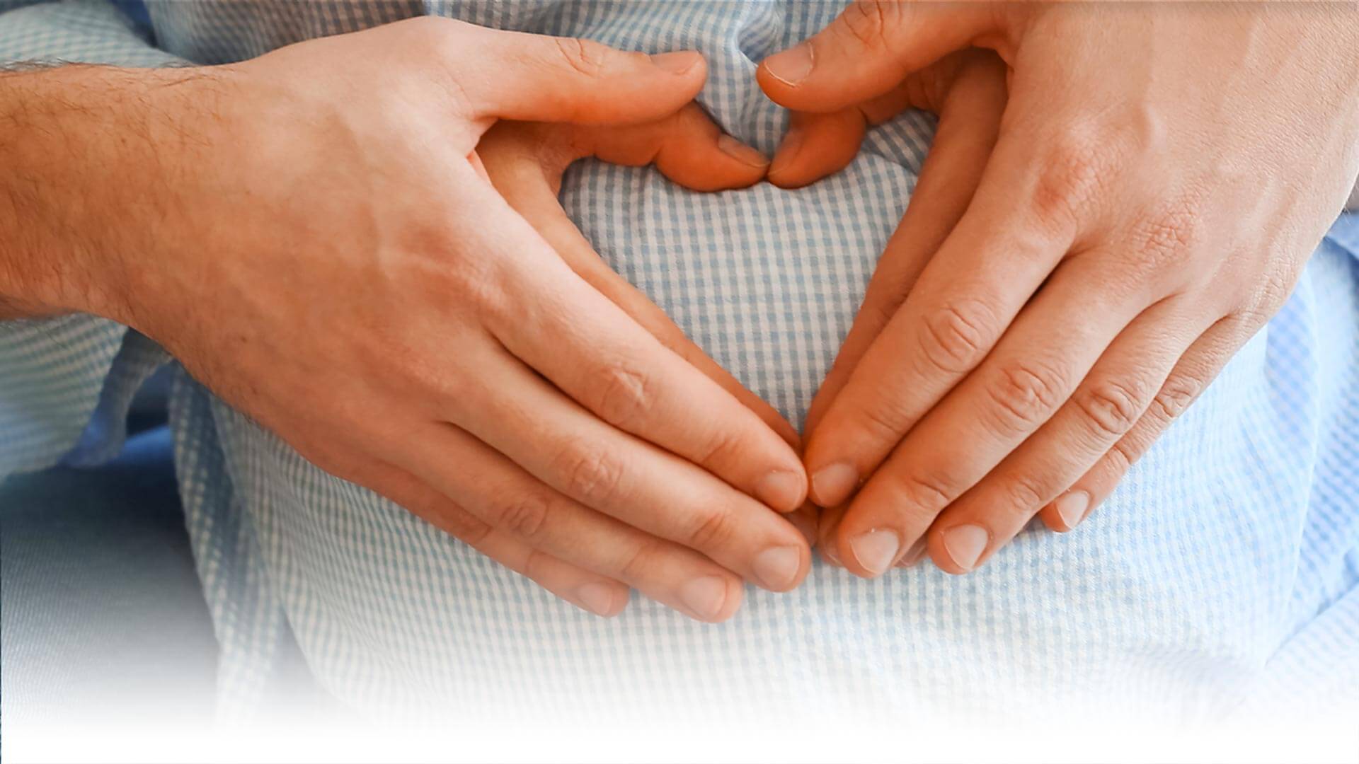 Independent Surrogacy: The Definitive Guide to Your Own Journey